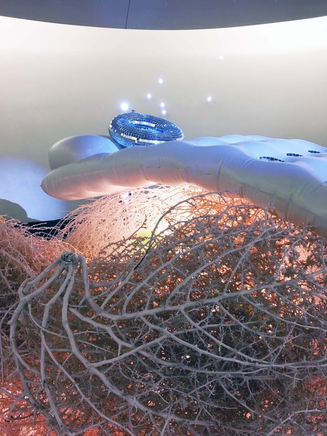 Burn and Fade | Las Vegas-Clark County Library District